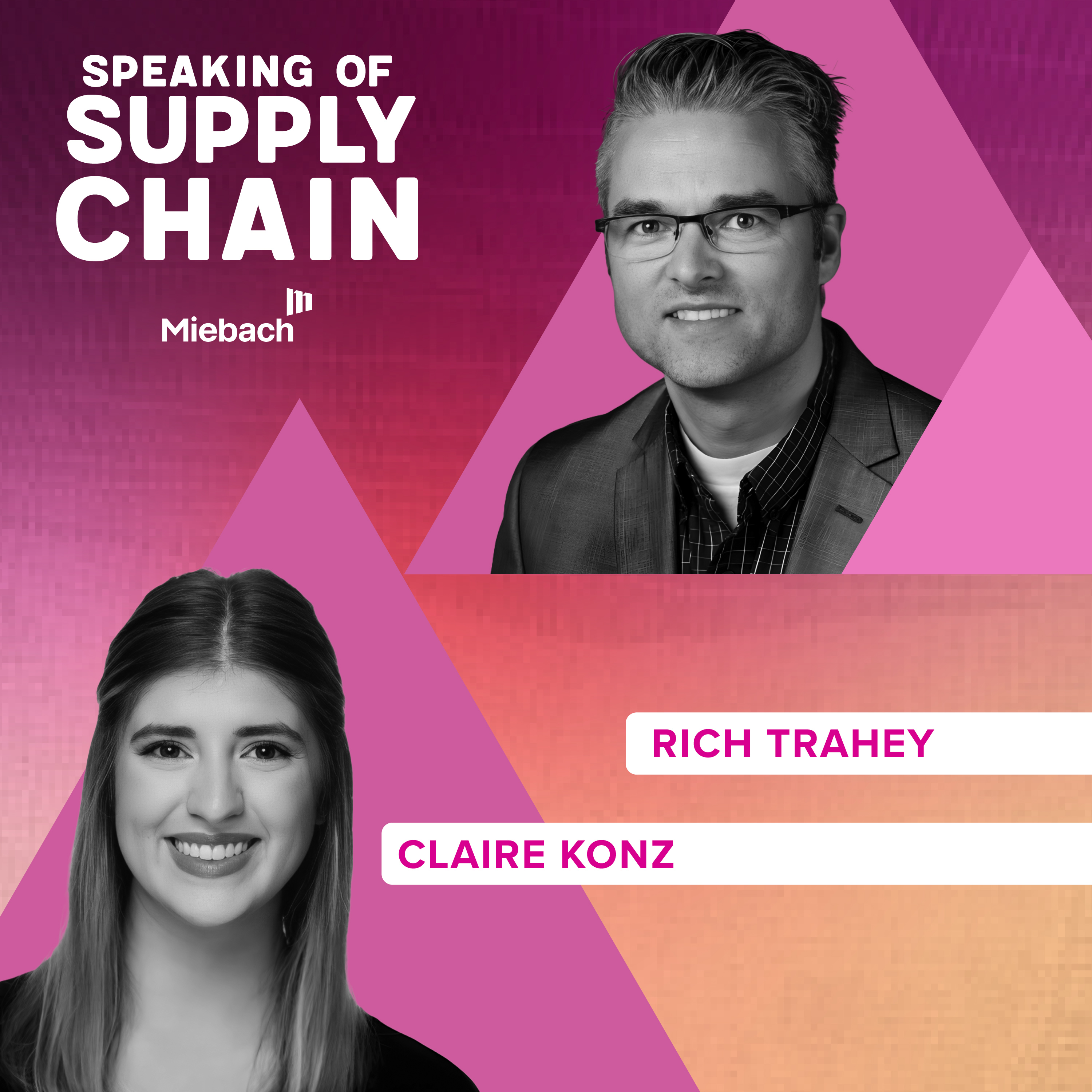 Episode 48 - Picture the Future: Revolutionizing Supply Chain ...