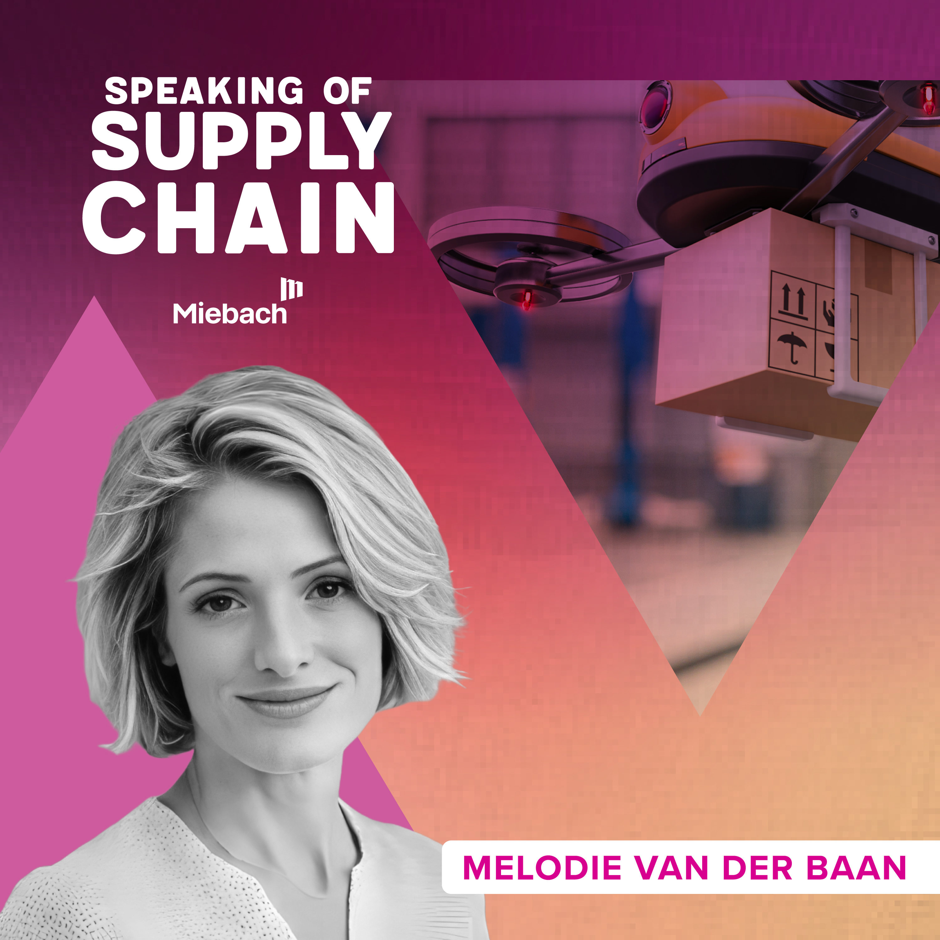 Episodio 45 - Conquering Excess Inventory: Small Retailers Thrive with ...