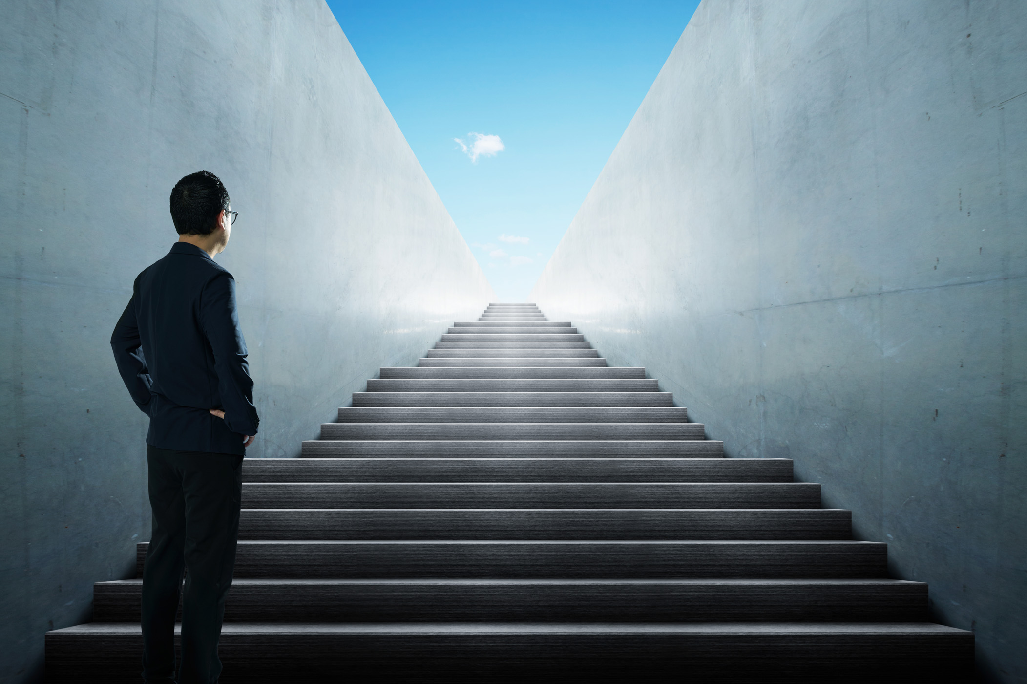 PMO in large-scale SCE projects | Miebach Consulting