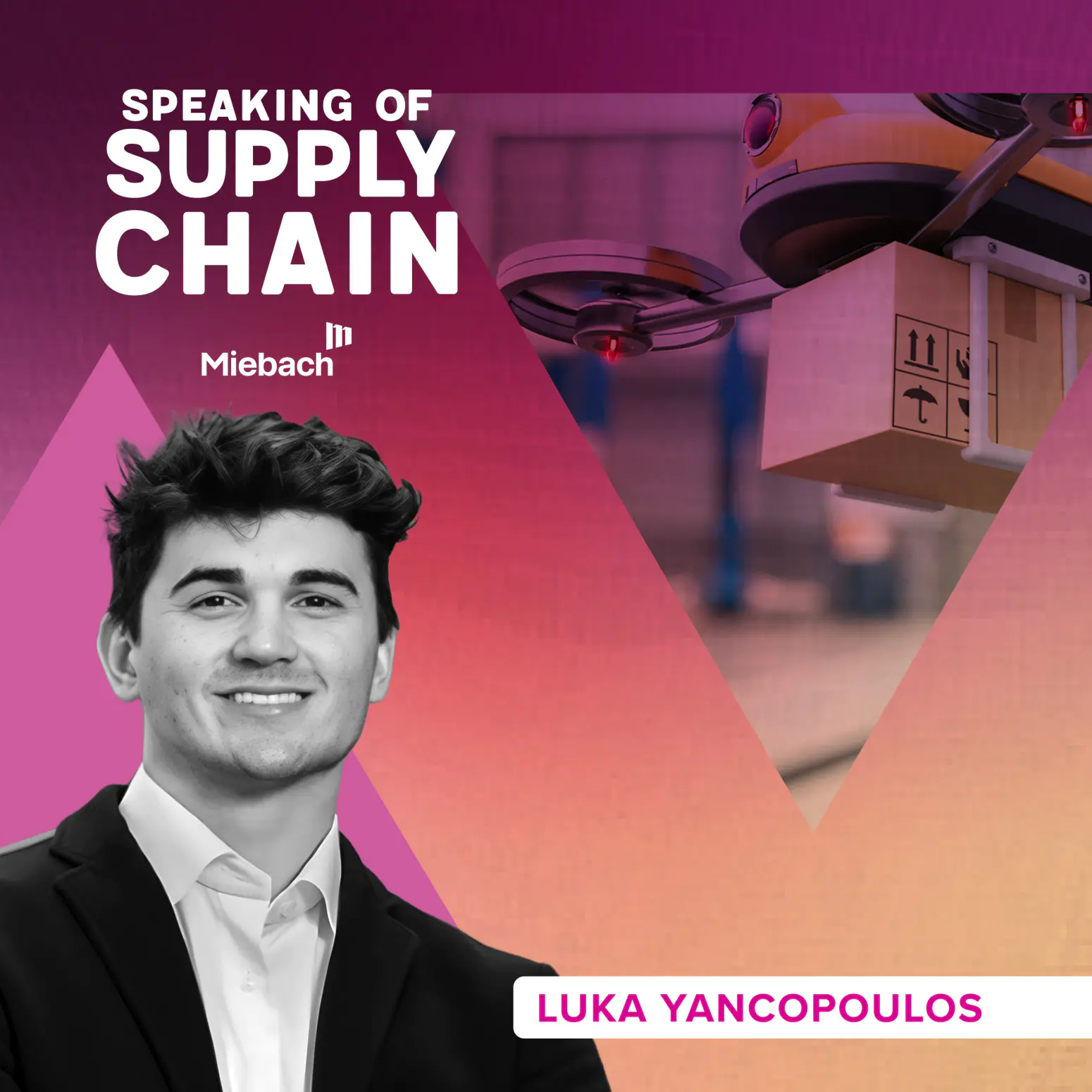 Episode 36 - Diagnosing the Challenges of the Healthcare Supply Chain